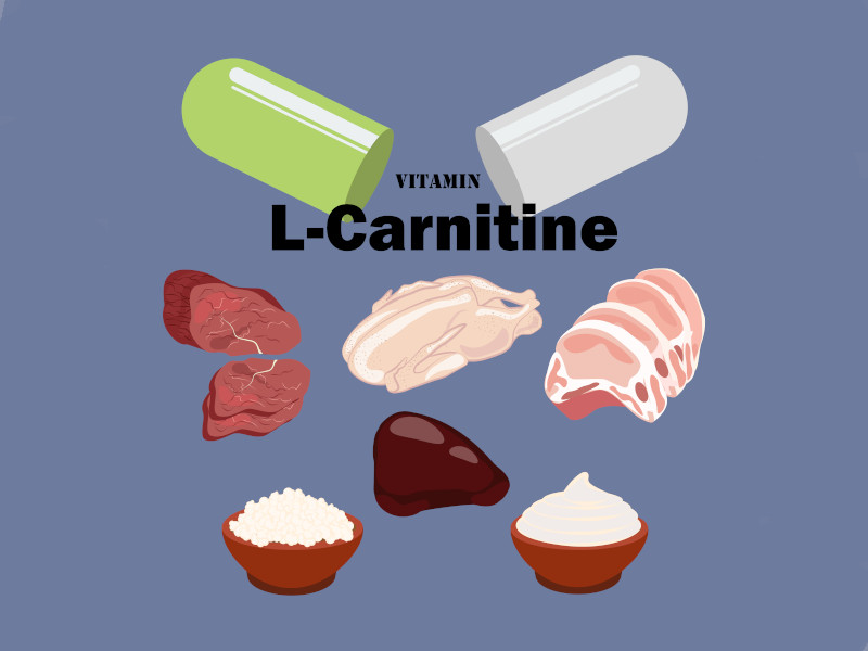 L-Carnitina: ¿Realmente sirve para perder grasa?
