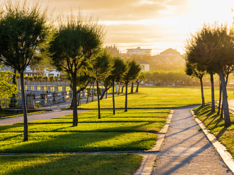 Los 10 mejores parques urbanos que tienes que conocer